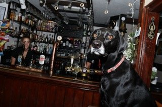 The Selsey Arms - traditional pub in Coolham, West Sussex
