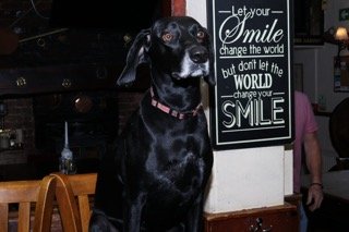 The Selsey Arms - traditional pub in Coolham, West Sussex